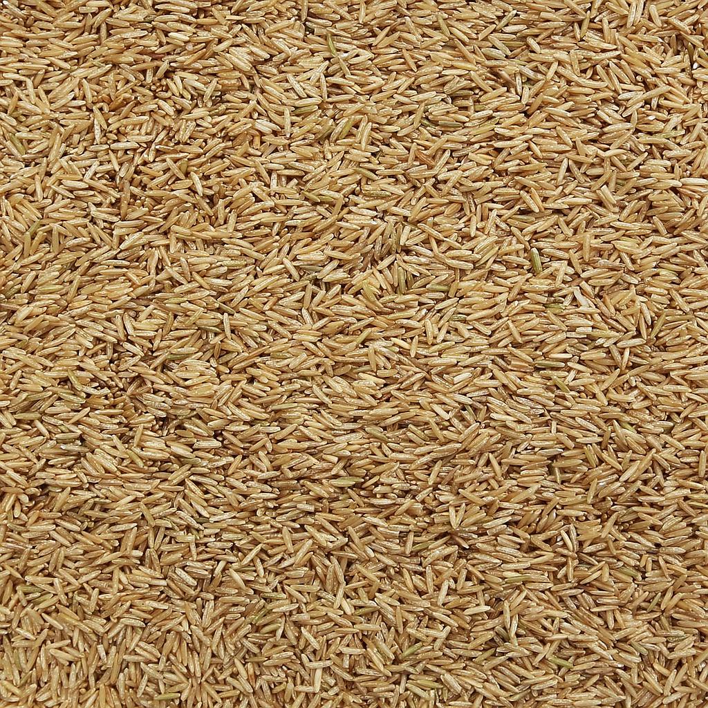 Grains – Essential Organic Ingredients