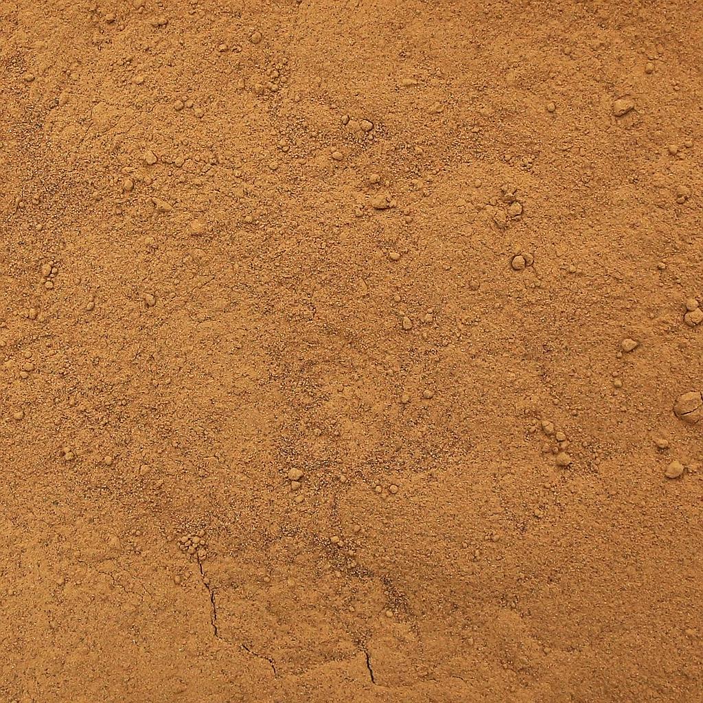 ORGANIC RAMON, powder, roasted – Essential Organic Ingredients