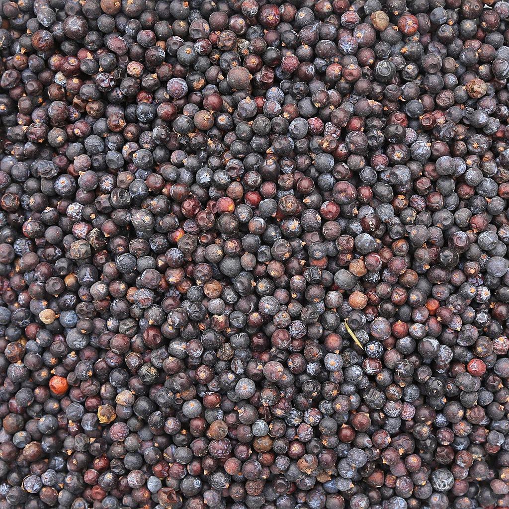 JUNIPER BERRIES, whole – Essential Organic Ingredients