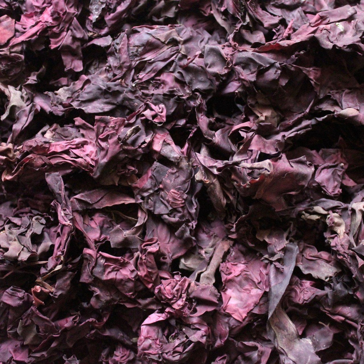 ORGANIC DULSE, whole leaf – Essential Organic Ingredients
