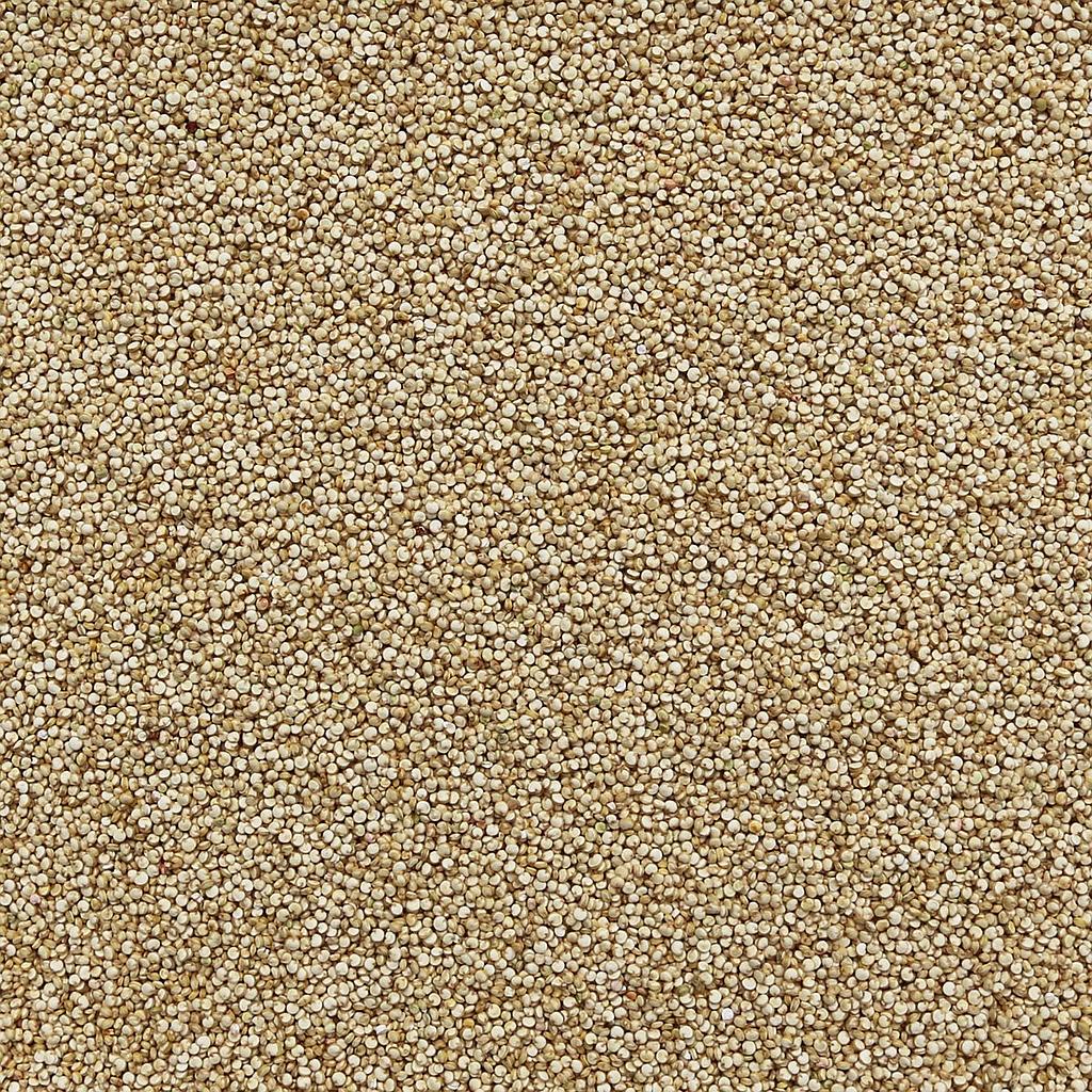 Grains – Essential Organic Ingredients