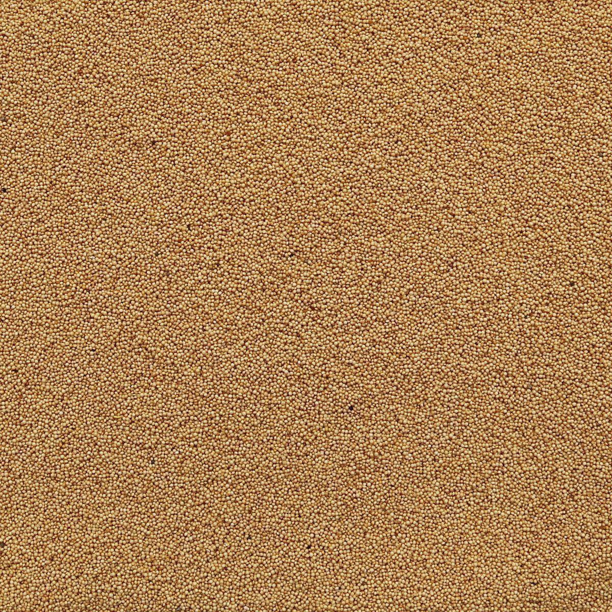 ORGANIC AMARANTH – Essential Organic Ingredients