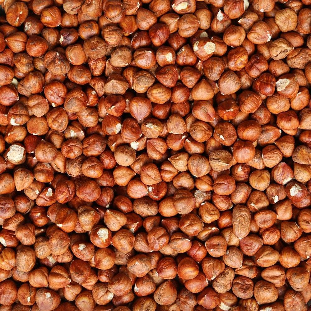 ORGANIC HAZELNUTS, raw, whole – Essential Organic Ingredients