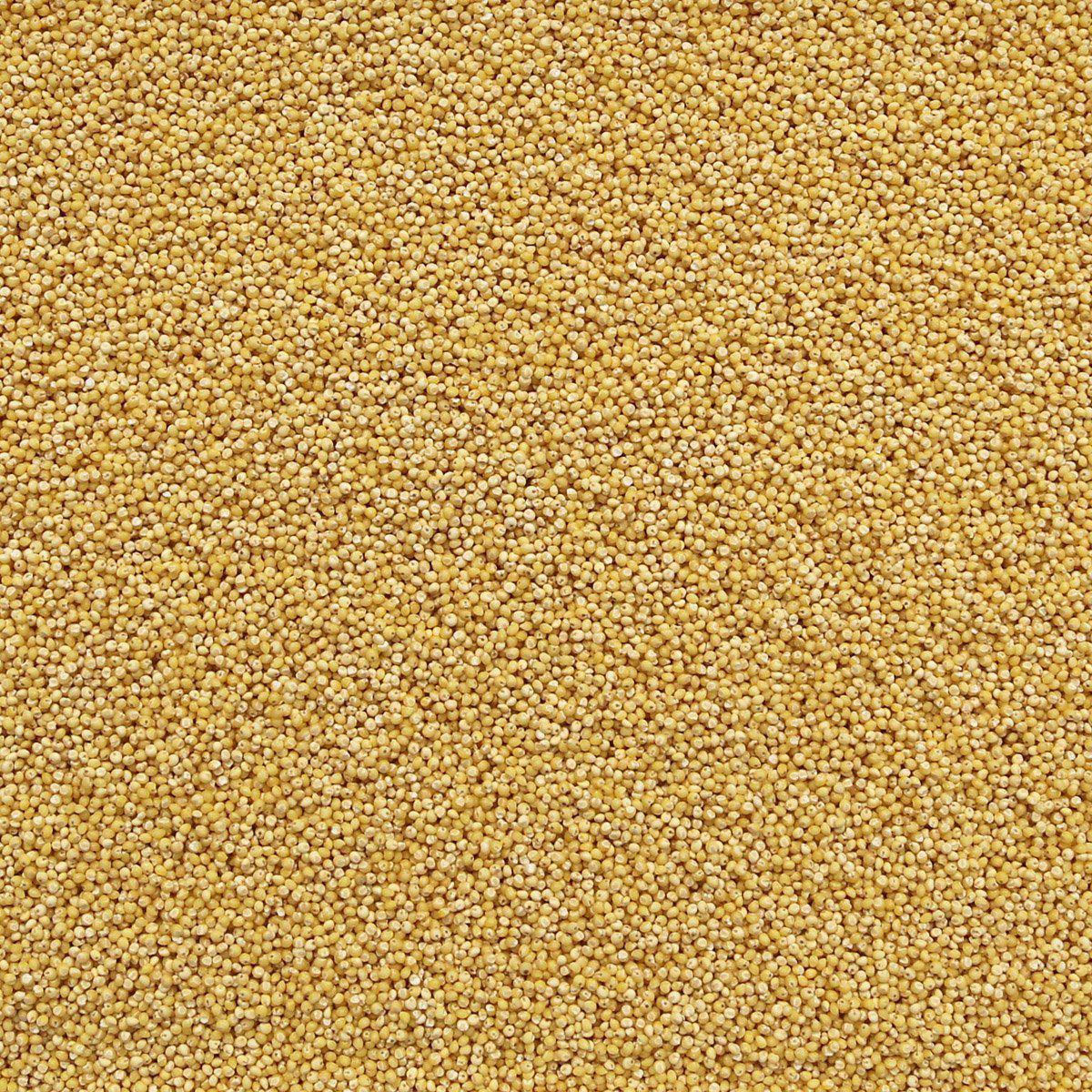 Grains – Essential Organic Ingredients