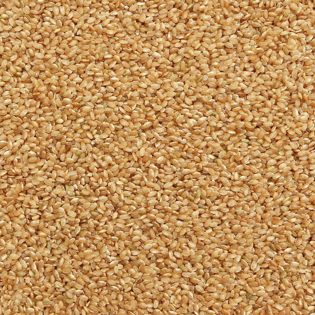 Grains – Essential Organic Ingredients