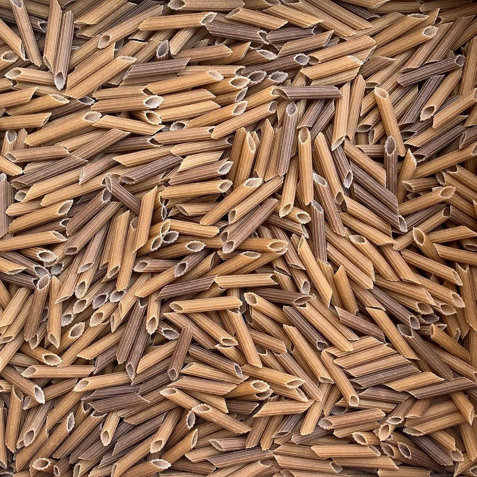 ORGANIC SORGHUM PASTA, Penne – Essential Organic Ingredients