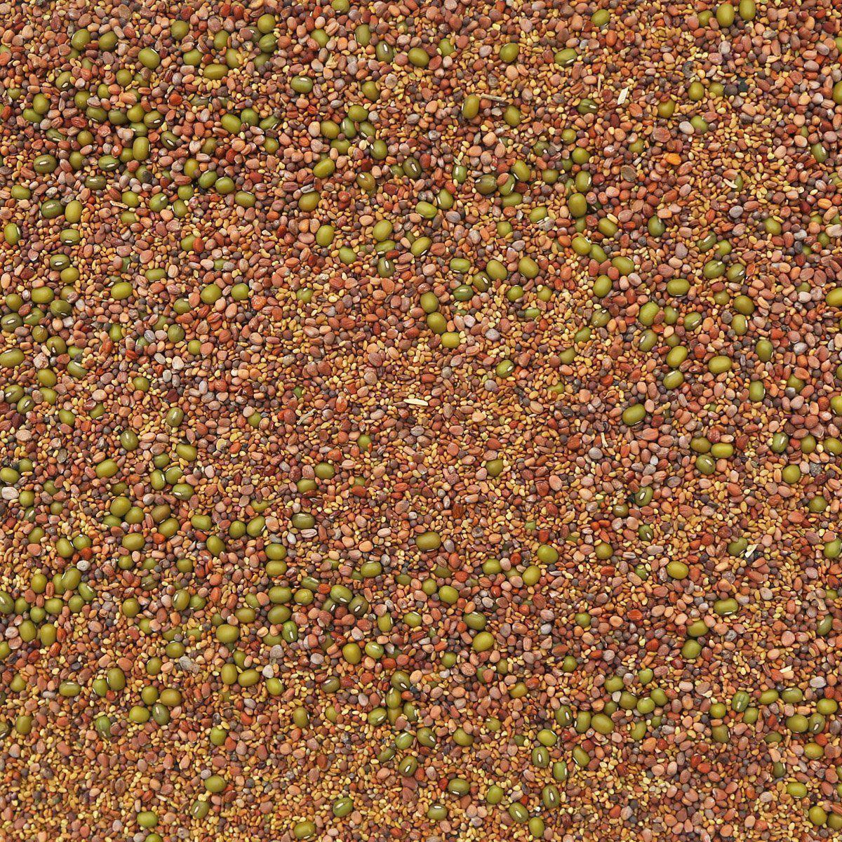 SPROUTING MIX (Sandwich Mix) – Essential Organic Ingredients